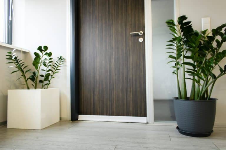 Door Toe Protection - ARTE VIVA