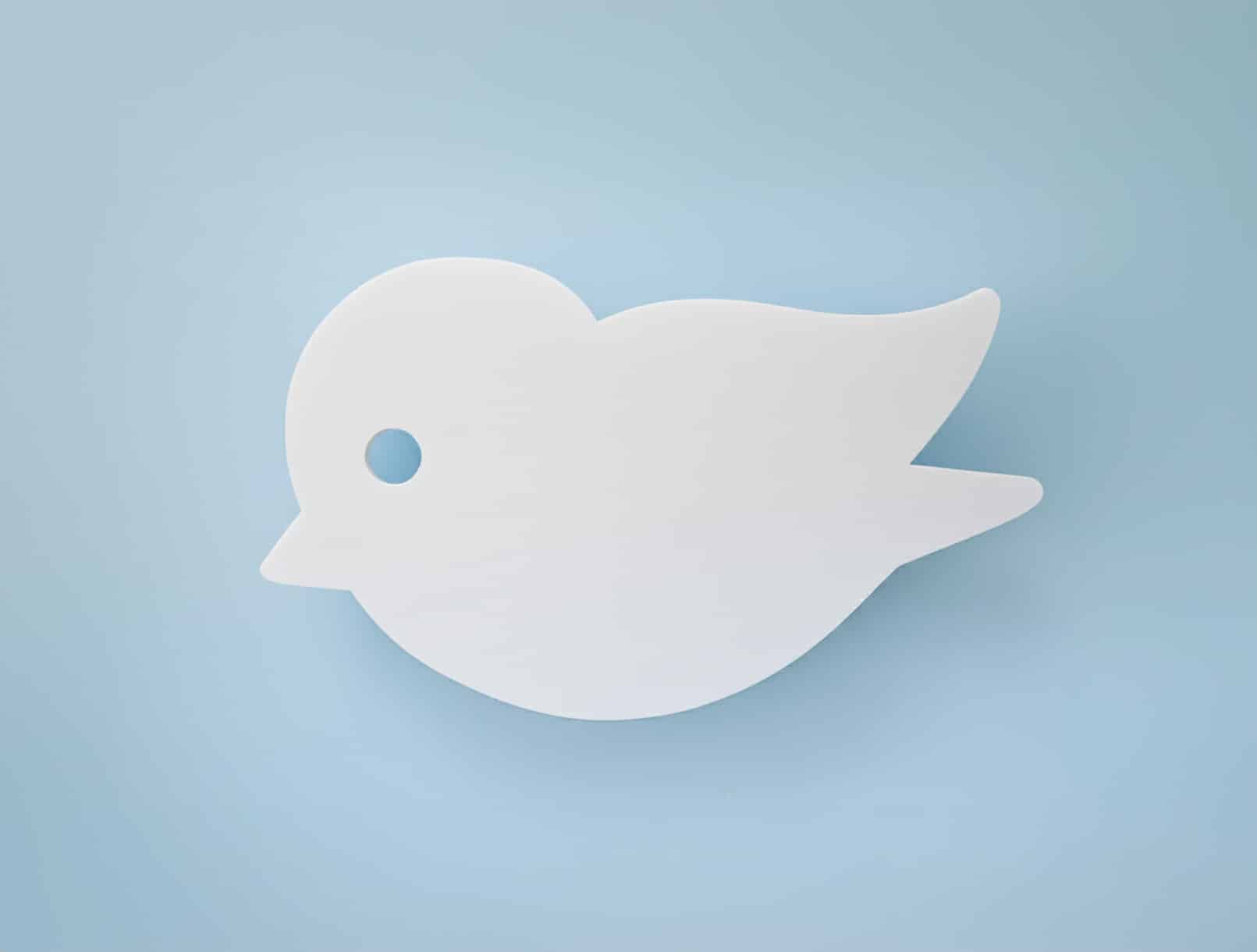 Acoustic Bird - ARTE VIVA - Acoustic Solution Classroom